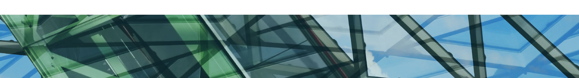 BRC Terms of Reference - BCBEC